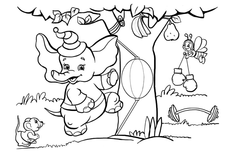 Bojanka - Home Jungle